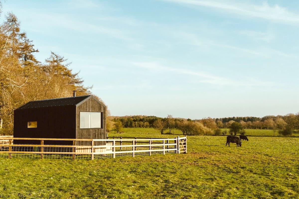 Alcor - Shacks Wild Stargazing Lodge - Go Stargazing